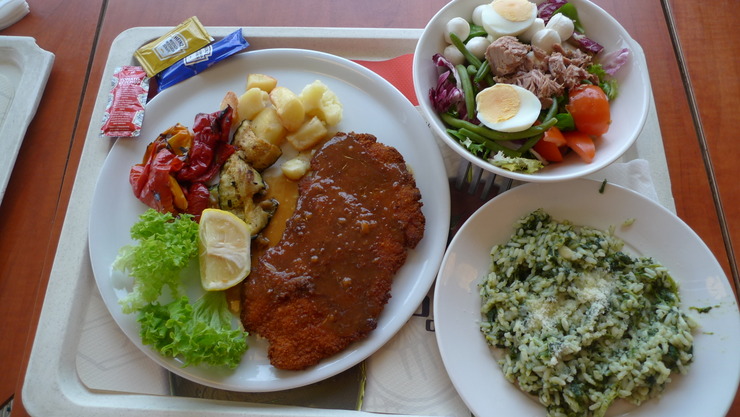 이태리 북부의 아름다운 호수 가르다 그리고 시르미온느 Sirmione : 네이버 블로그