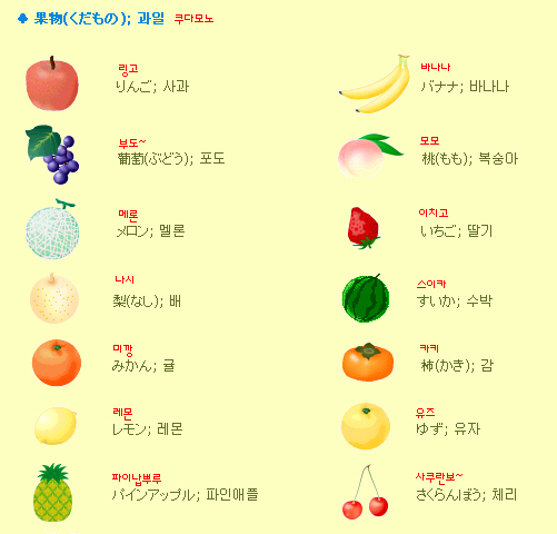 일본어 과일 표현 : 네이버 블로그