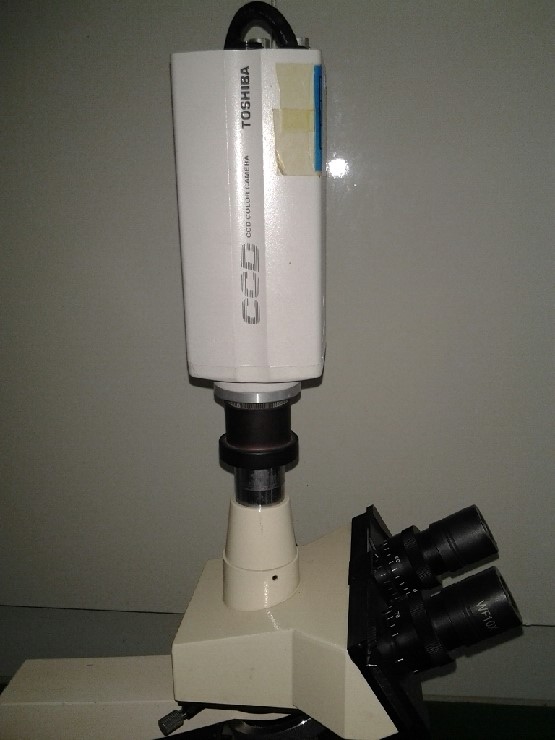 High /TOSHIBA CCD+3안 현미경셋-RBC.EM.유산균.곰팡이.정자. : 네이버 블로그