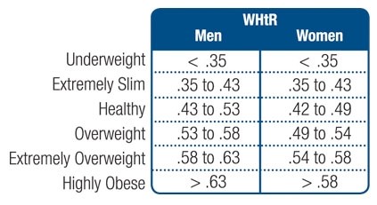 BMI보다 더 정확한 비만도 측정법?? WHtR!!! [다이어트군자 플라잉 능동] : 네이버 블로그