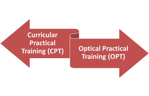 CPT 와 OPT 들어보았니~? : 네이버 블로그