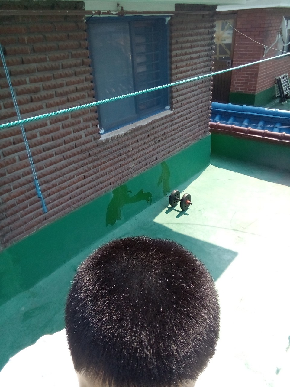 반삭하고 찍었는데 탈모 맞나요.. - 탈모 갤러리