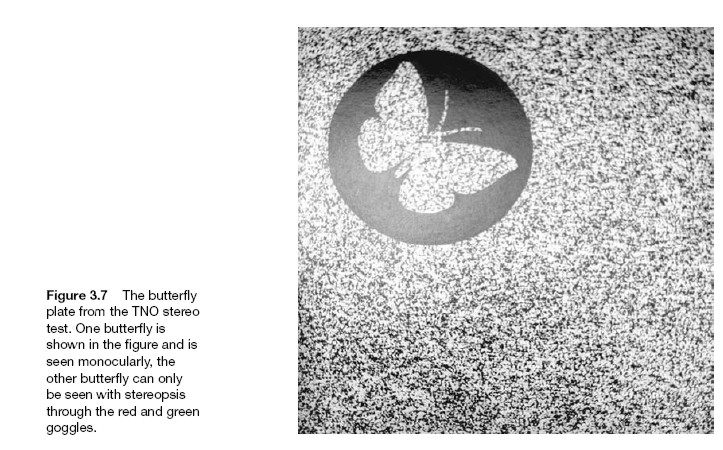 입체시(Stereopsis) : 네이버 블로그