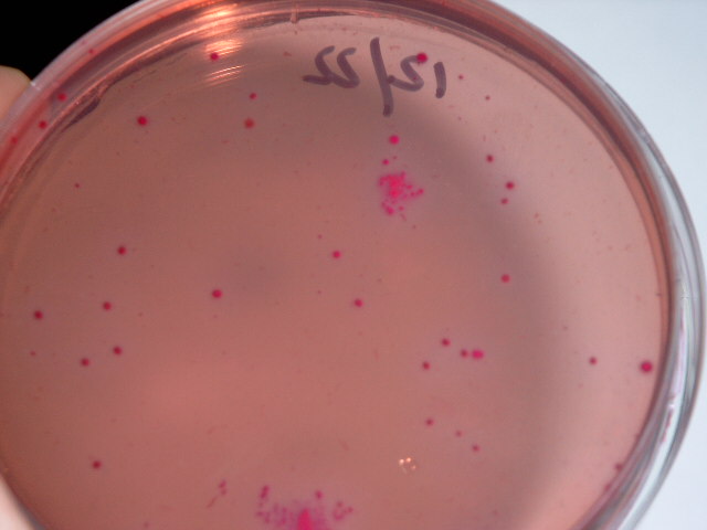 [펌] 실기그림 : 네이버 블로그