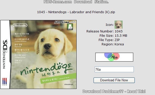 닌텐도DS R4칩 게임 다운로드 받는곳 : 네이버 블로그