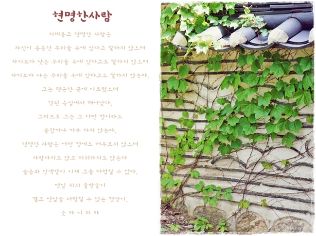 현명한 사람 : 네이버 블로그